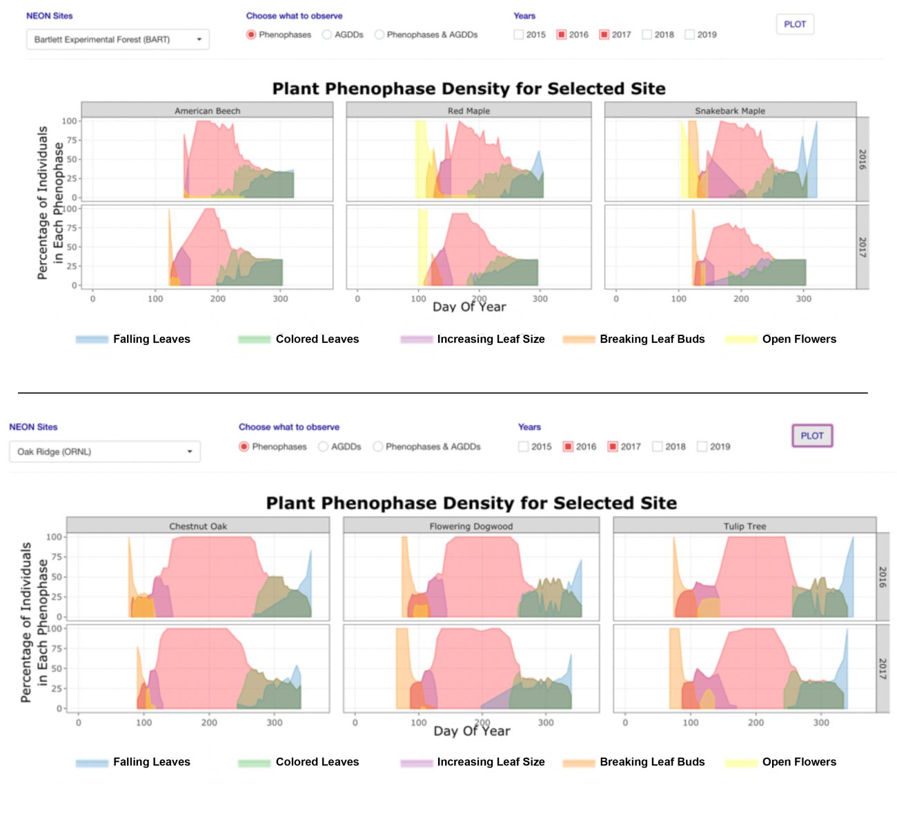 How a Tree’s Life can Change an Ecosystem: Plant Phenology, Gypsy Moths ...