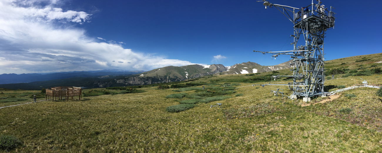 Virtual Background Photo Contest Winners! | NSF NEON | Open Data to ...