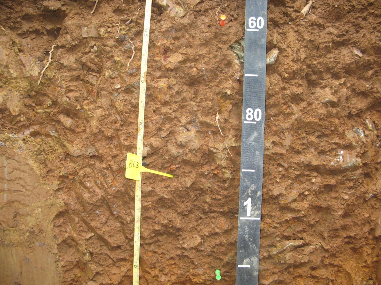 Smithsonian Conservation Biology Institute NEON (SCBI) Soil ...