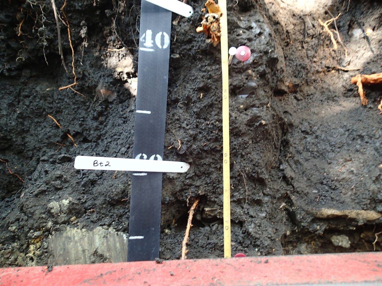 KU Field Station NEON (UKFS) Soil Descriptions | NSF NEON | Open Data ...