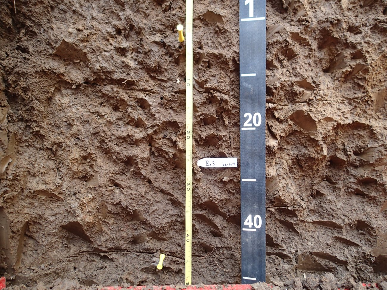 Lenoir Landing NEON (LENO) Soil Descriptions | NSF NEON | Open Data to ...