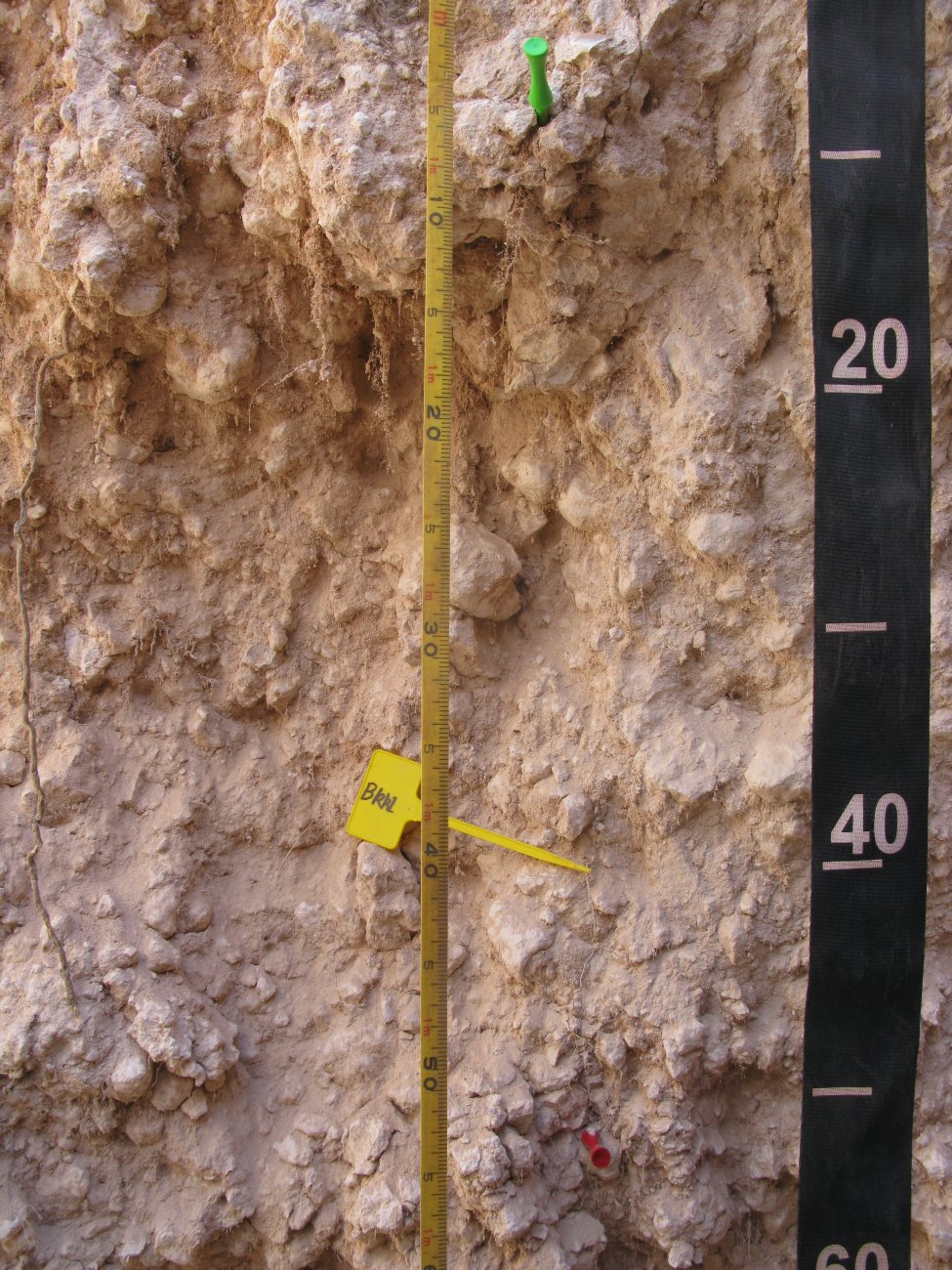 Jornada Experimental Range NEON (JORN) Soil Descriptions | NSF NEON ...