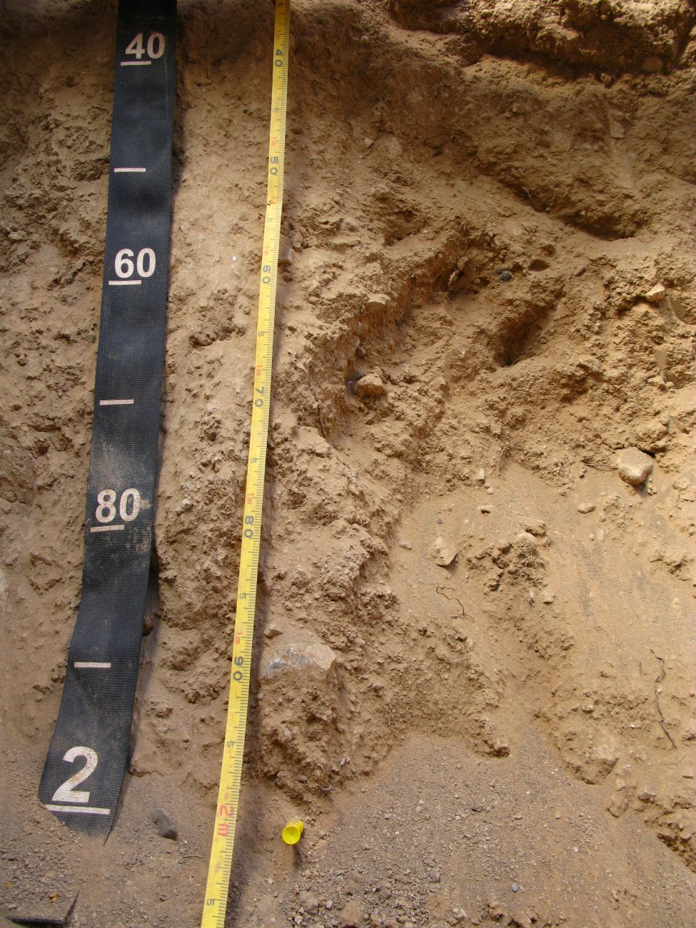 Santa Rita Experimental Range NEON (SRER) Soil Descriptions | NSF NEON ...