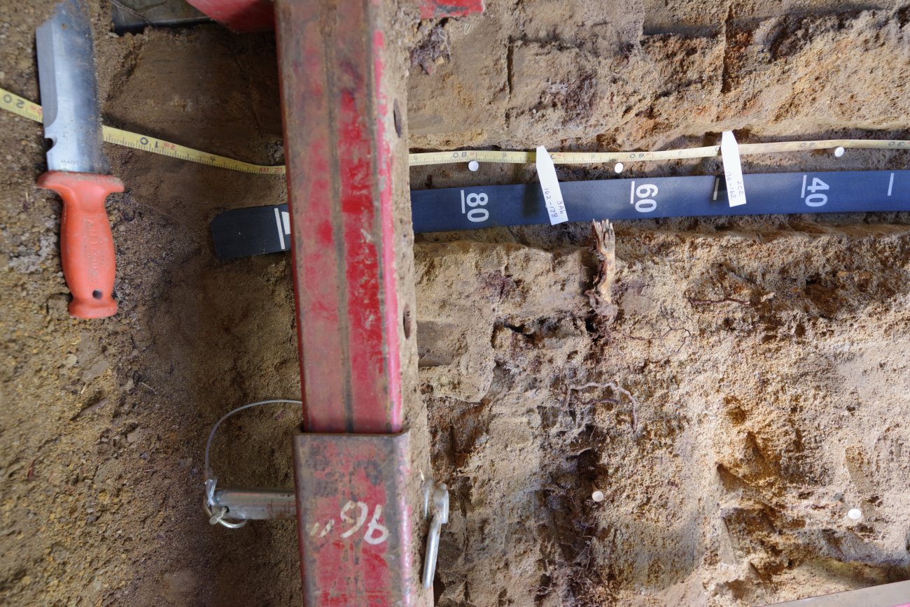 Wind River Experimental Forest NEON (WREF) Soil Descriptions | NSF NEON ...