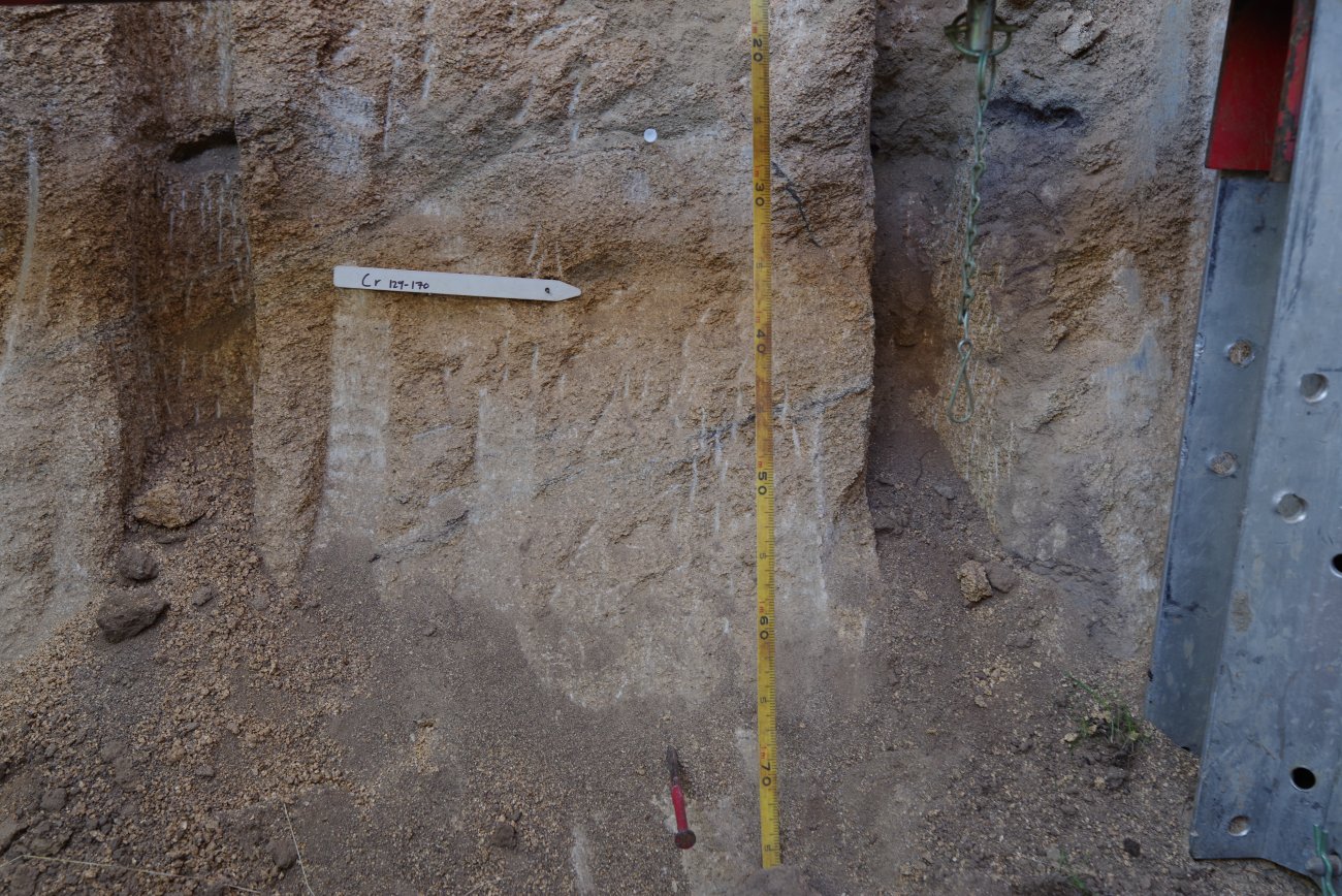 San Joaquin Experimental Range NEON (SJER) Soil Descriptions | NSF NEON ...