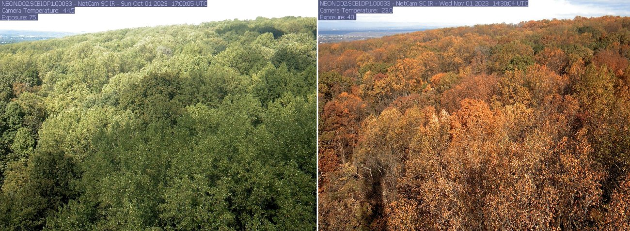 NEON Sites Show Their Colors: Fall Across the Observatory | NSF NEON ...