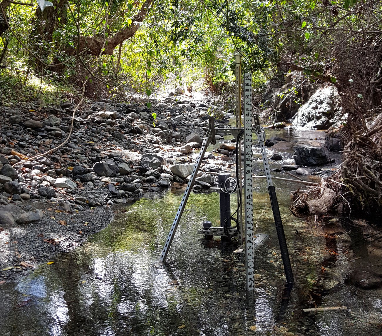 Dive into Aquatic Ecology with NEON | NSF NEON | Open Data to ...
