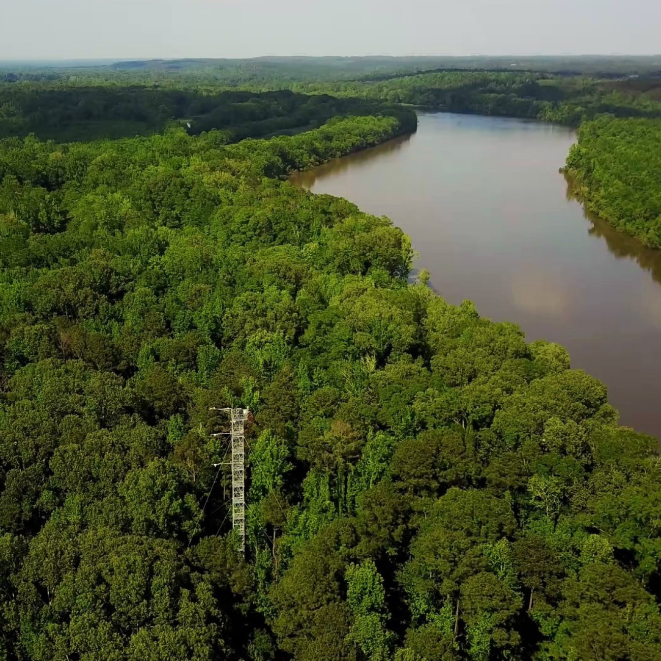 Dive into Aquatic Ecology with NEON | NSF NEON | Open Data to ...