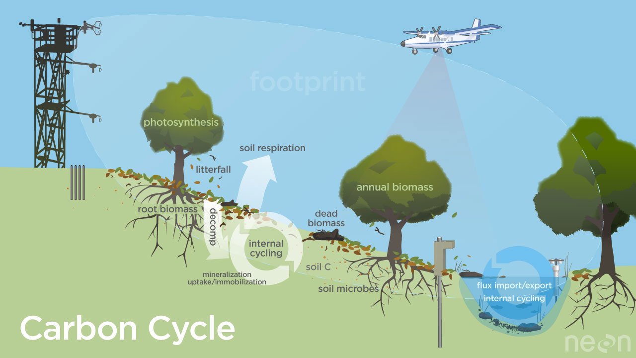 Biogeochemistry | NSF NEON | Open Data to Understand our Ecosystems