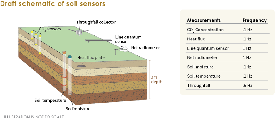 Sensor Collection Frequency | NSF NEON | Open Data to Understand our ...