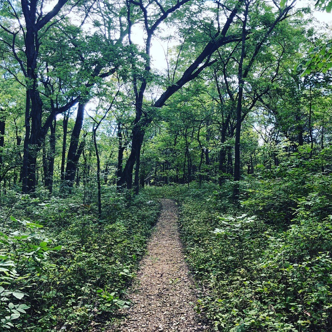 Getting to Know the NEON Domains: Prairie Peninsula | NSF NEON | Open ...