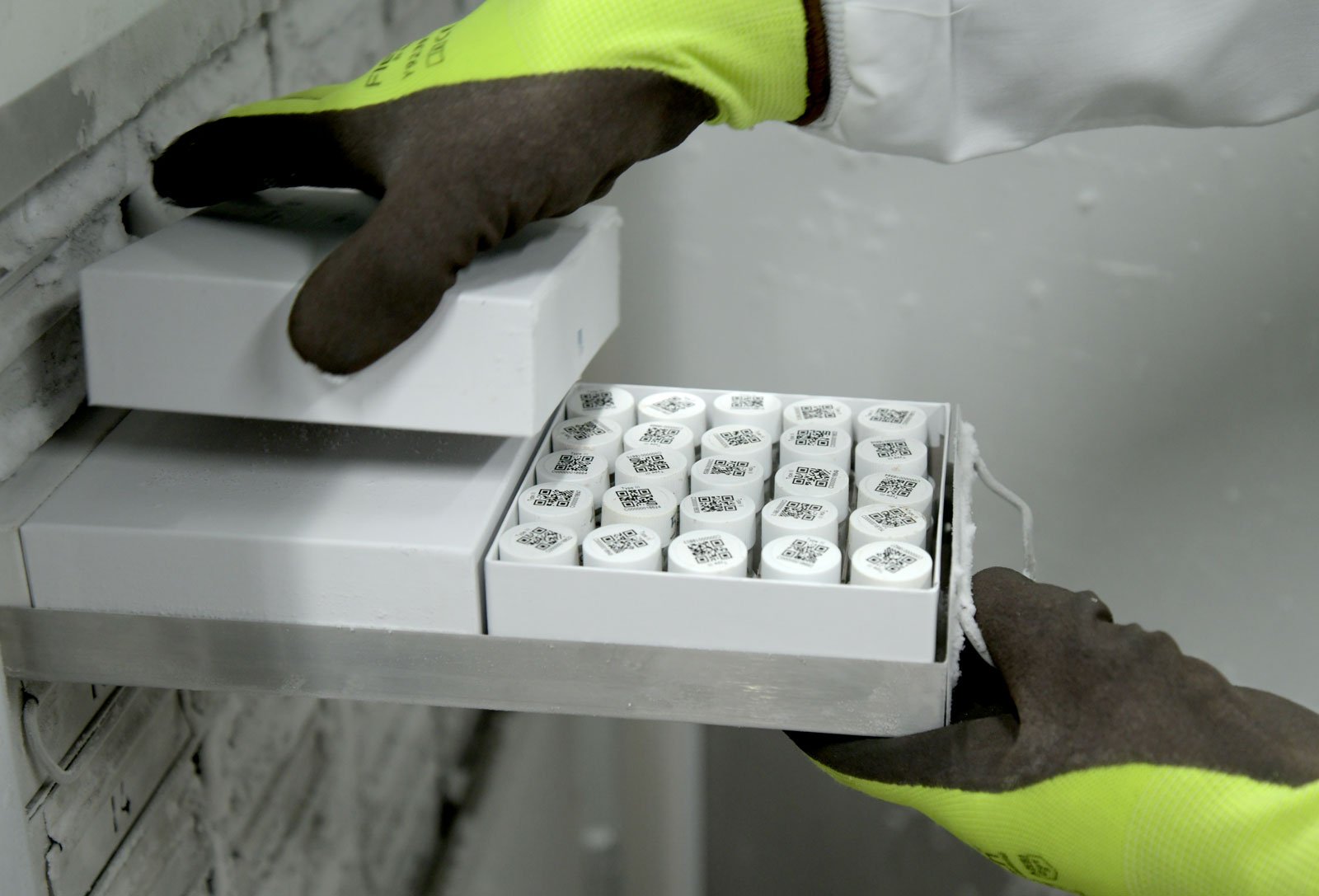 Discover and Use NEON Samples | NSF NEON | Open Data to Understand our ...