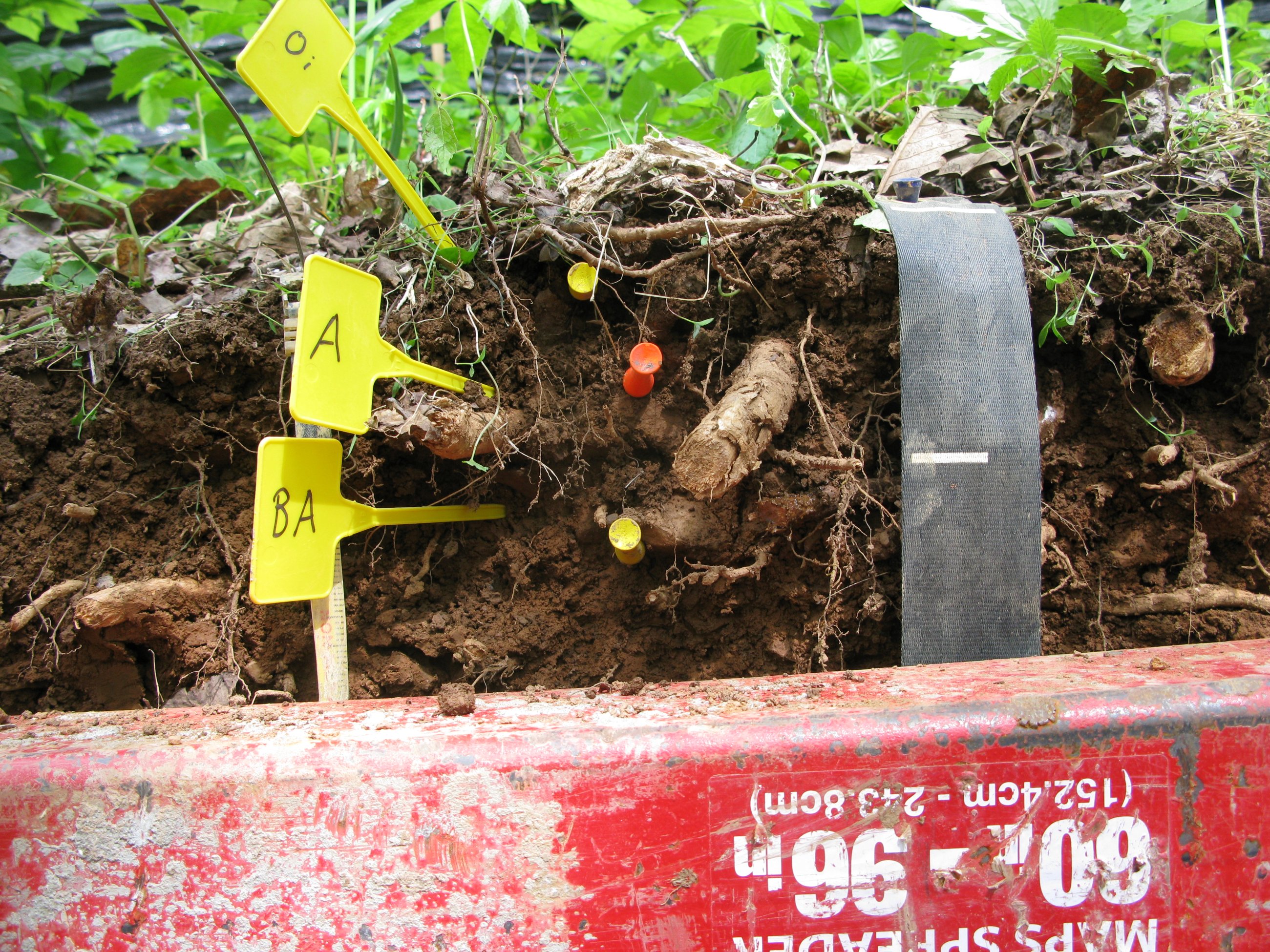 Smithsonian Conservation Biology Institute NEON (SCBI) Soil ...