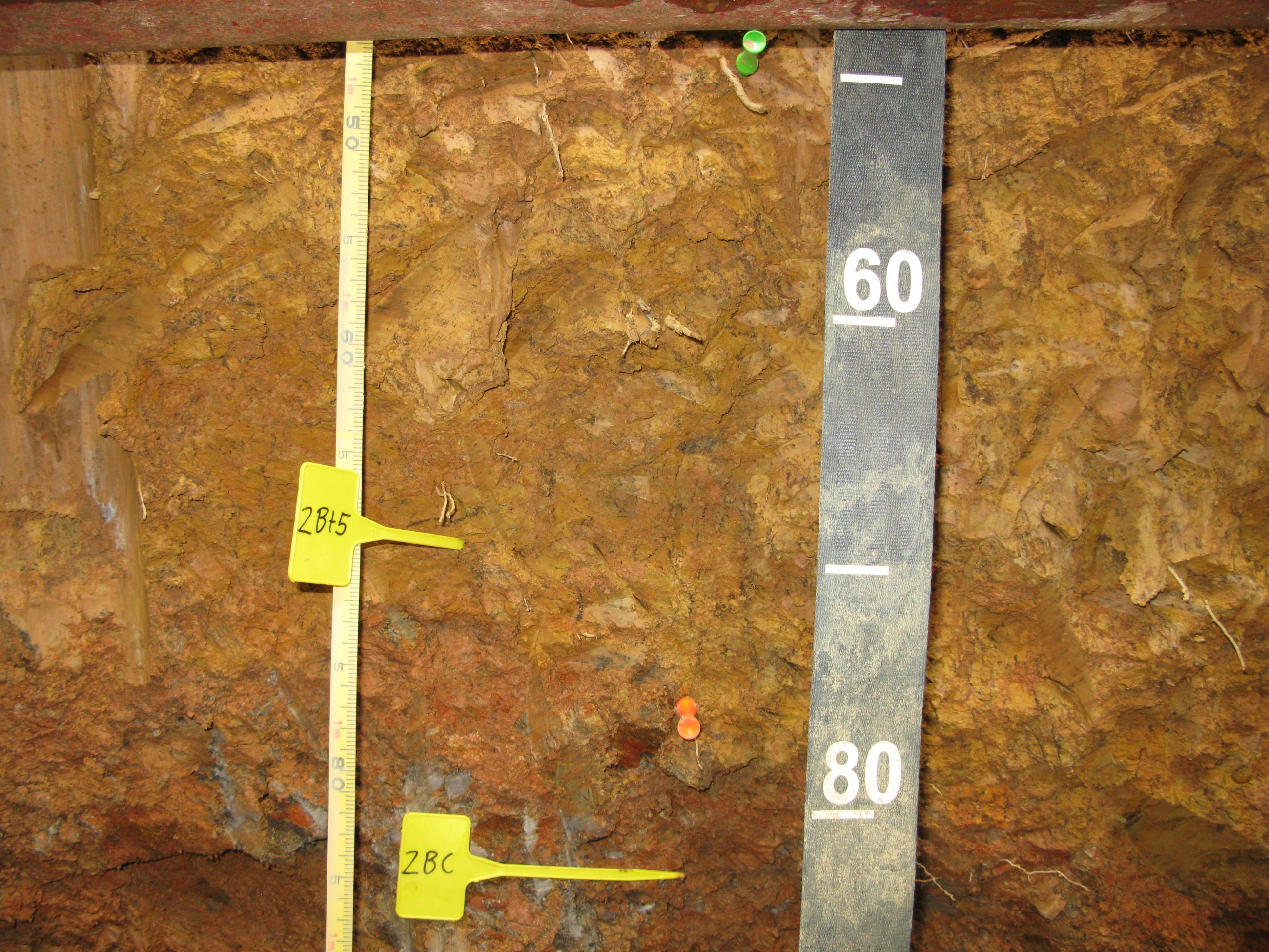 Smithsonian Conservation Biology Institute NEON (SCBI) Soil ...