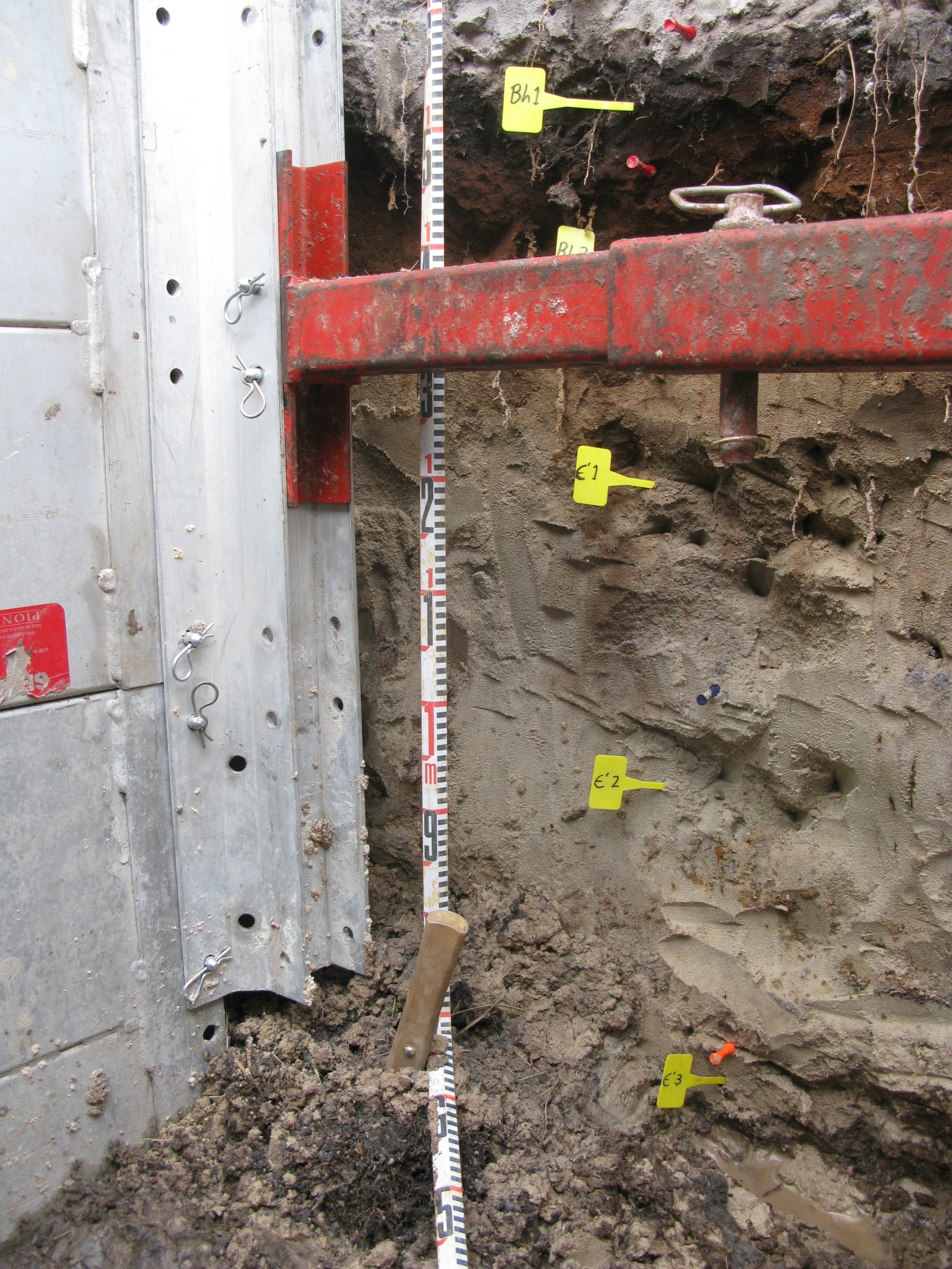 Disney Wilderness Preserve NEON (DSNY) Soil Descriptions | NSF NEON ...