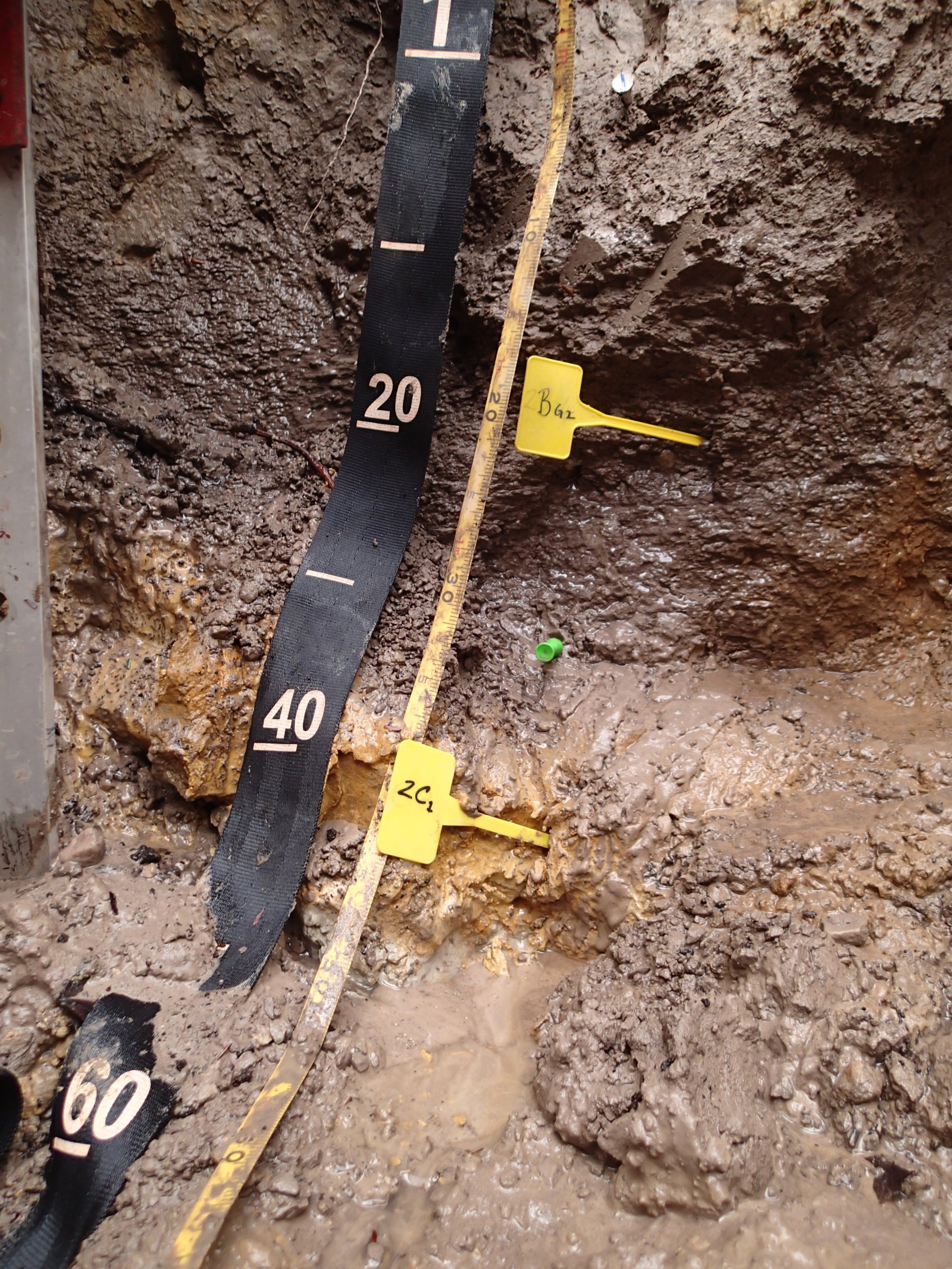 Mountain Lake Biological Station NEON (MLBS) Soil Descriptions | NSF ...