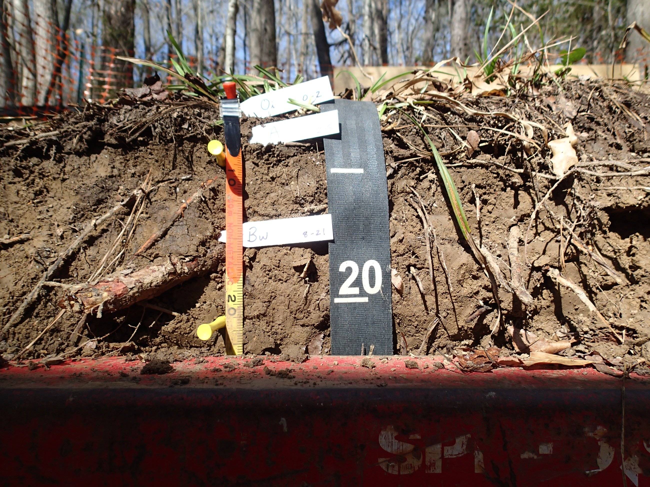 Lenoir Landing NEON (LENO) Soil Descriptions | NSF NEON | Open Data to ...