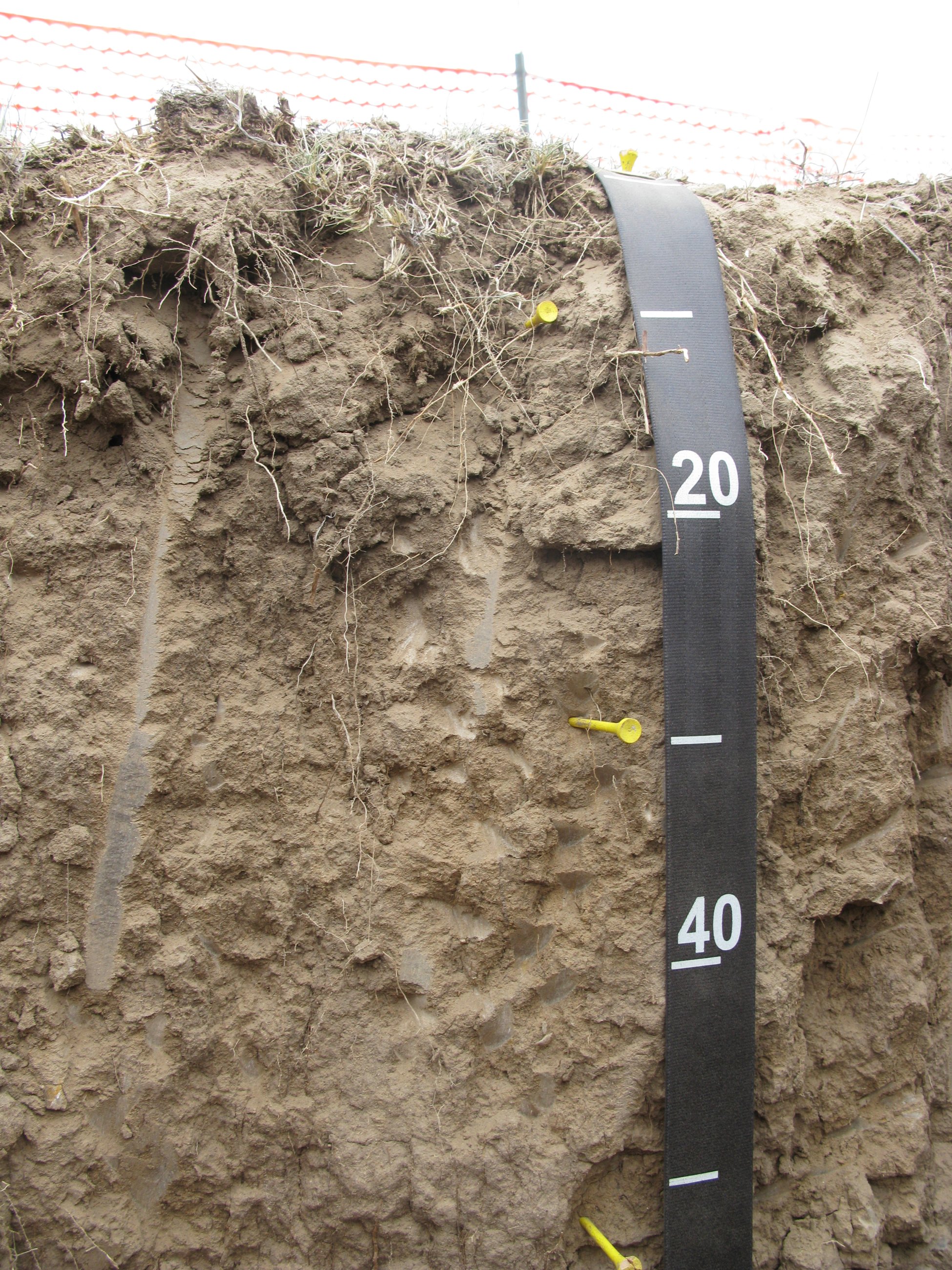 Central Plains Experimental Range NEON (CPER) Soil Descriptions | NSF ...