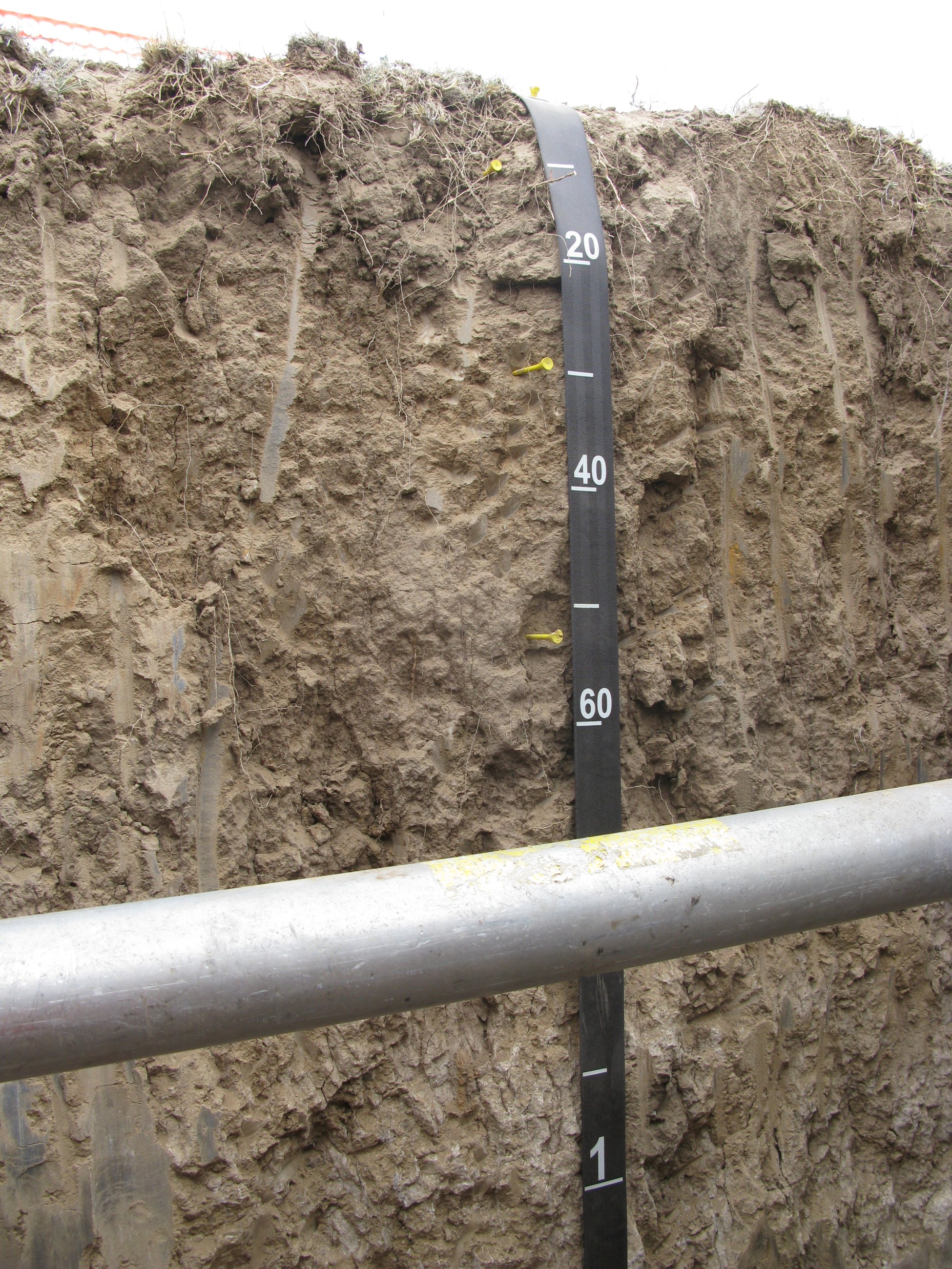 Central Plains Experimental Range NEON (CPER) Soil Descriptions | NSF ...