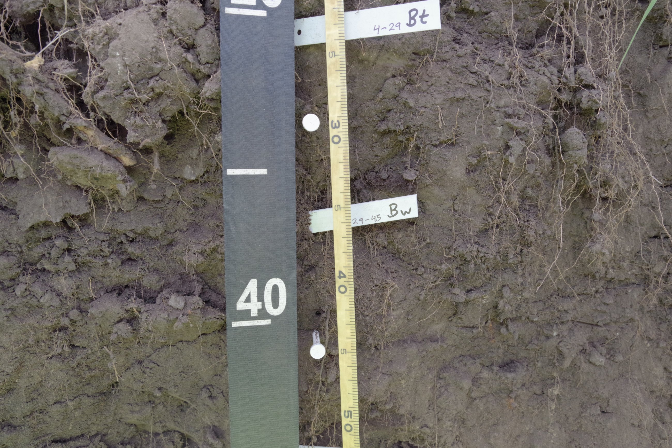 Yellowstone National Park NEON (YELL) Soil Descriptions | NSF NEON ...