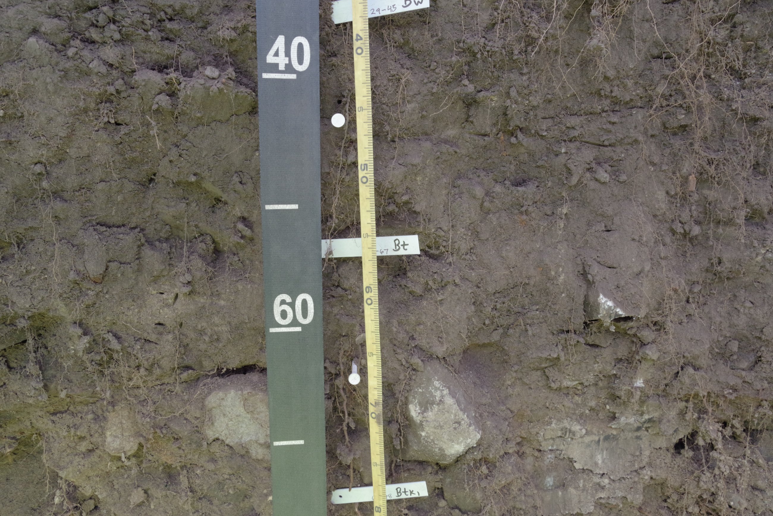 Yellowstone National Park NEON (YELL) Soil Descriptions | NSF NEON ...