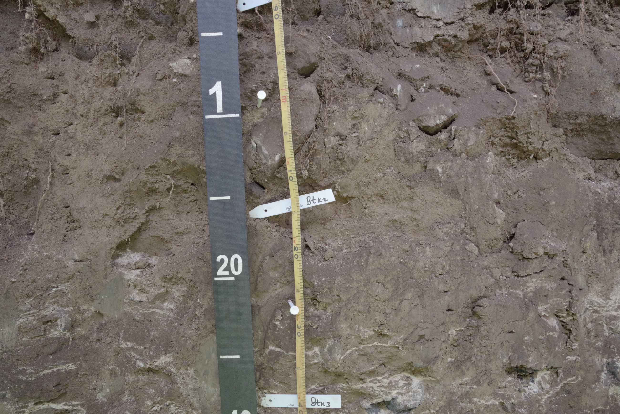Yellowstone National Park NEON (YELL) Soil Descriptions | NSF NEON ...