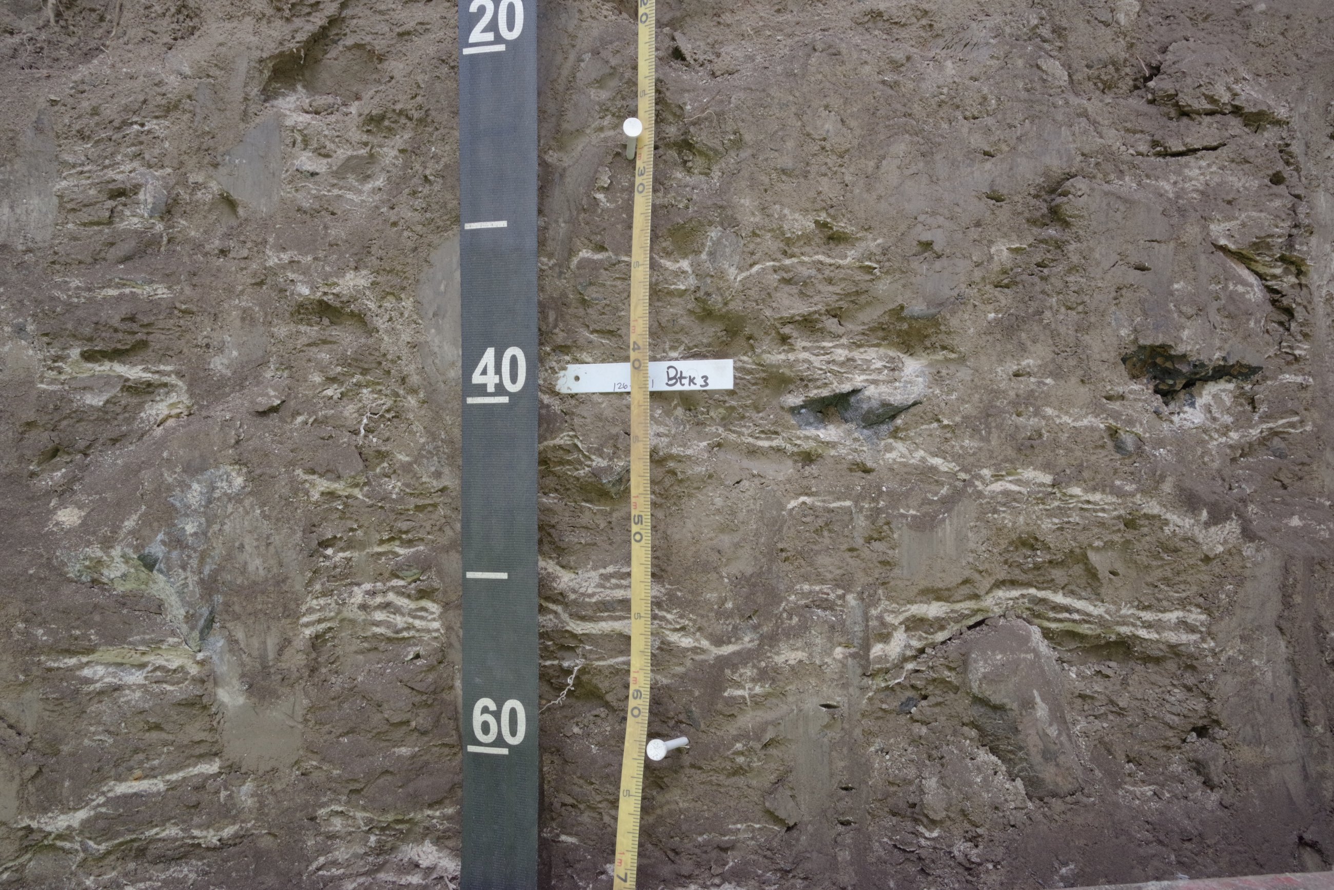 Yellowstone National Park NEON (YELL) Soil Descriptions | NSF NEON ...