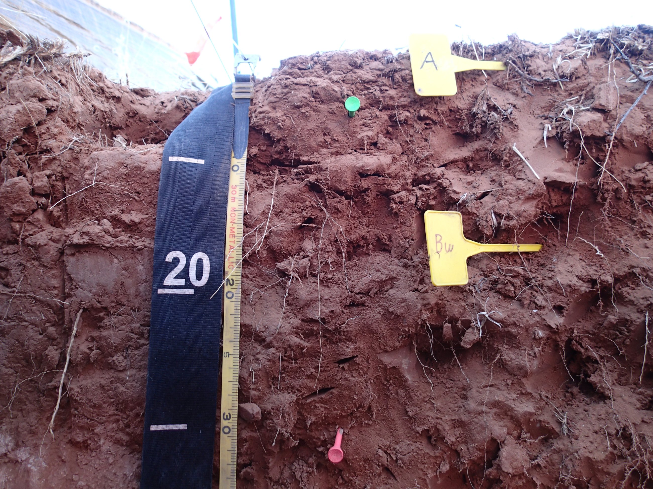 Moab NEON (MOAB) Soil Descriptions | NSF NEON | Open Data to Understand ...