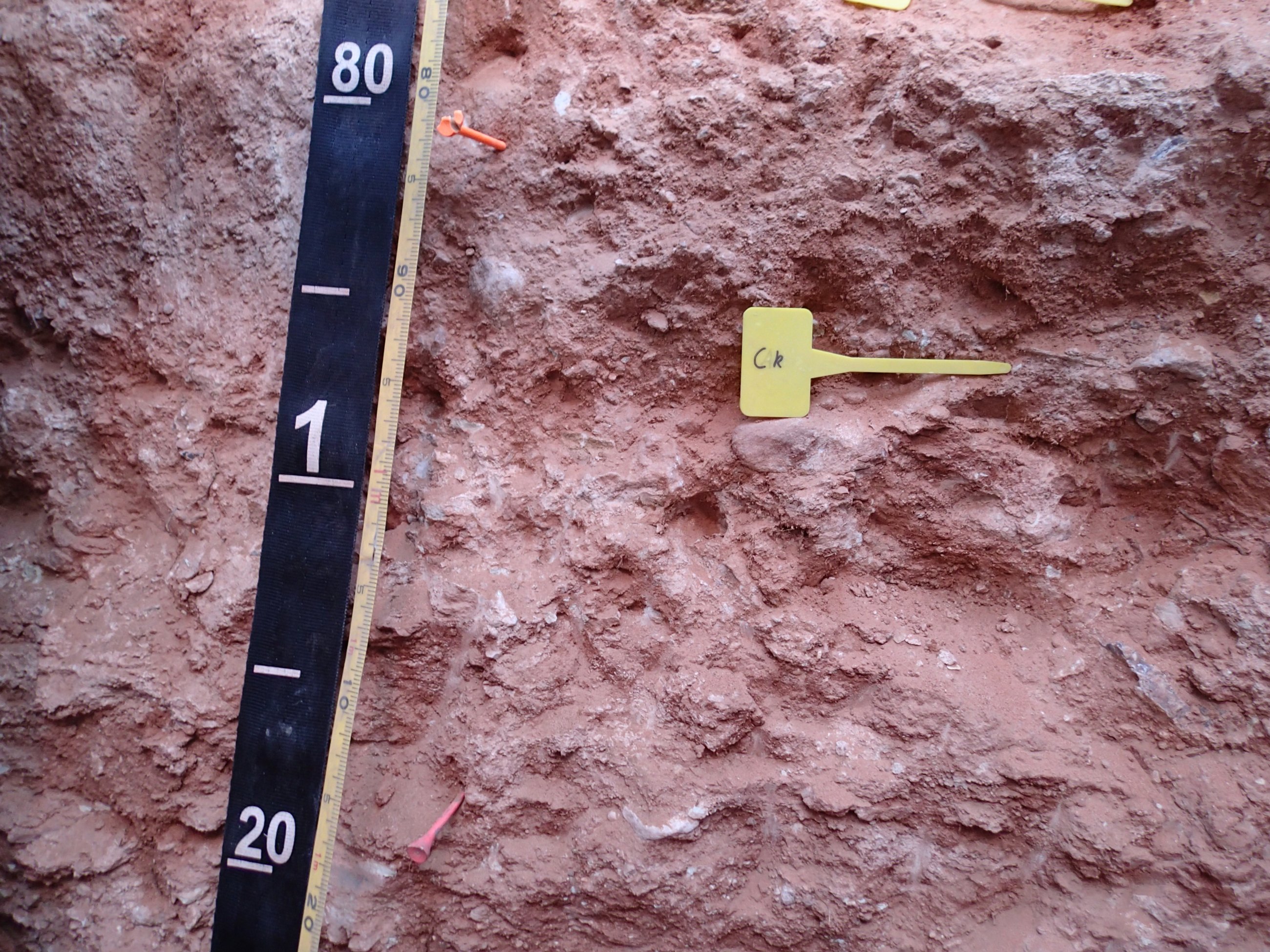 Moab NEON (MOAB) Soil Descriptions | NSF NEON | Open Data to Understand ...