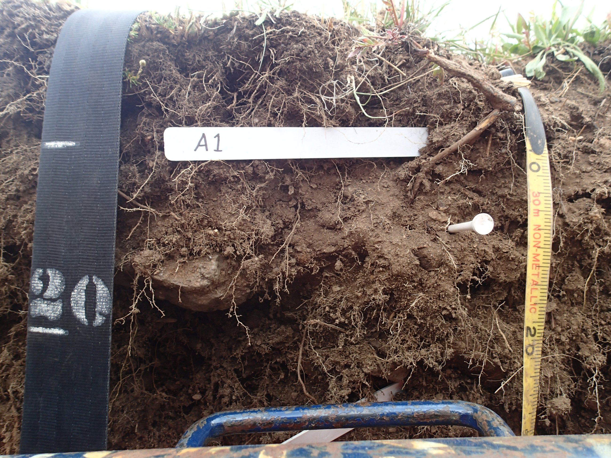 Niwot Ridge NEON (NIWO) Soil Descriptions | NSF NEON | Open Data to ...