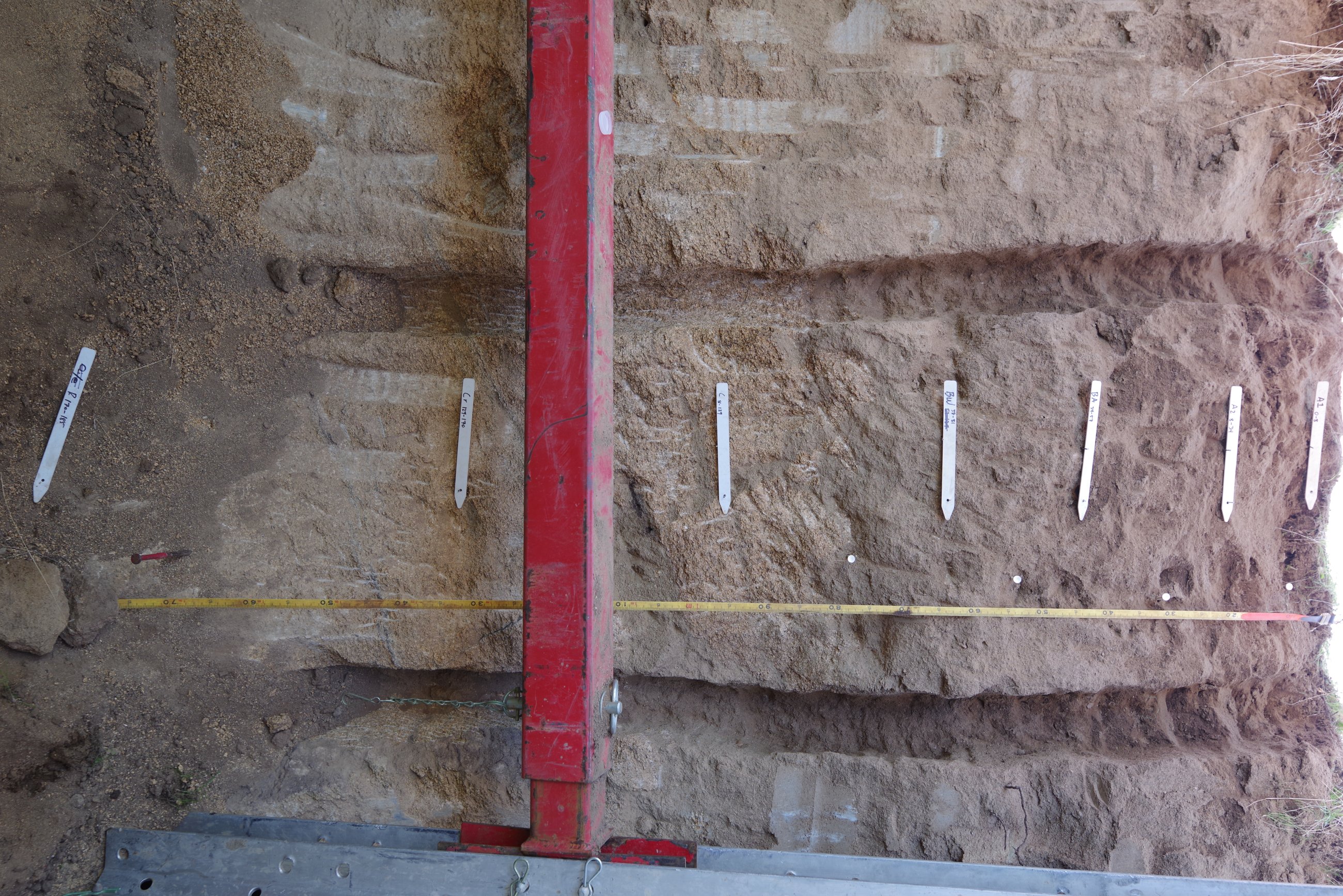 San Joaquin Experimental Range NEON (SJER) Soil Descriptions | NSF NEON ...