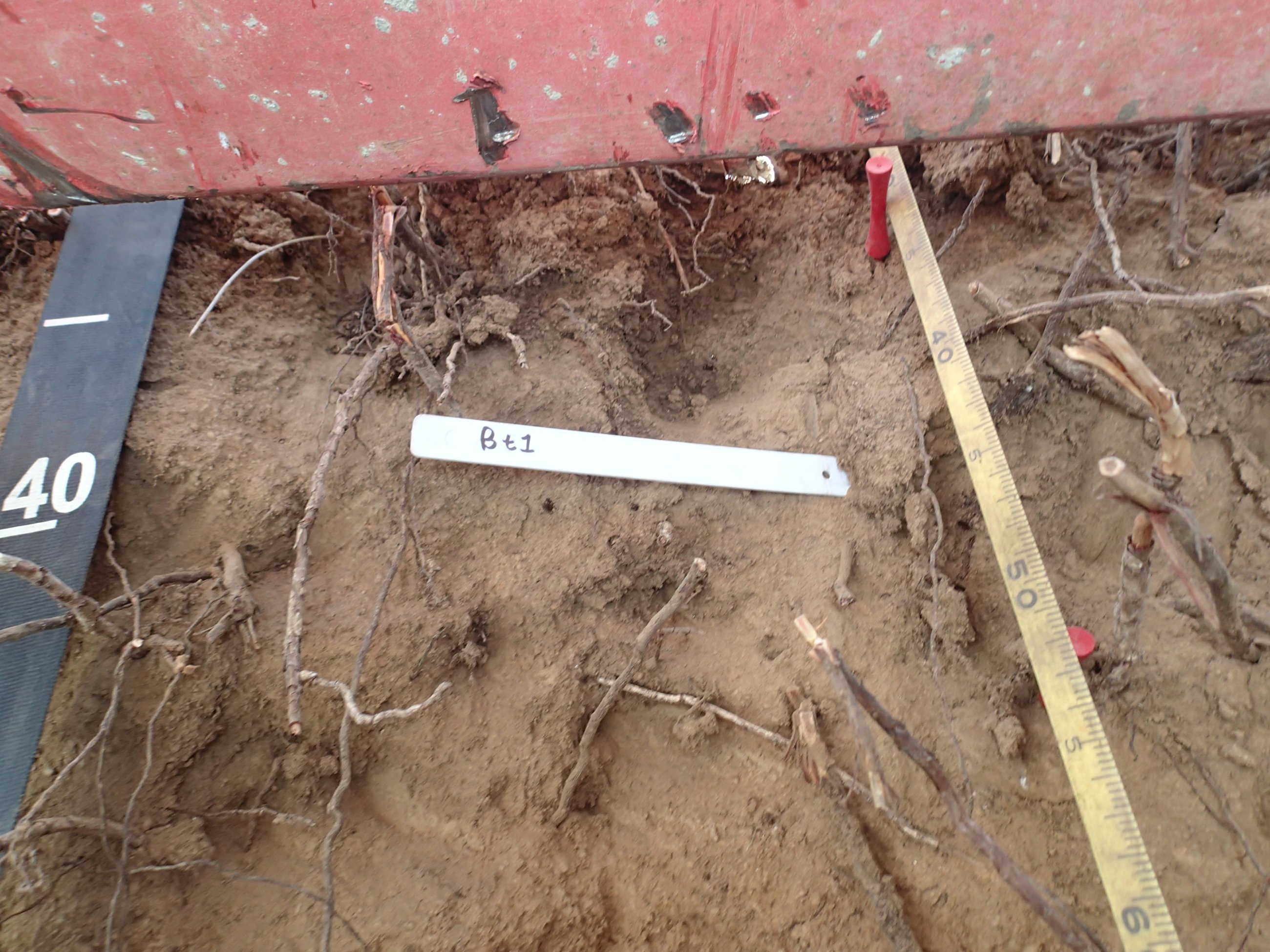 Soaproot Saddle NEON (SOAP) Soil Descriptions | NSF NEON | Open Data to ...