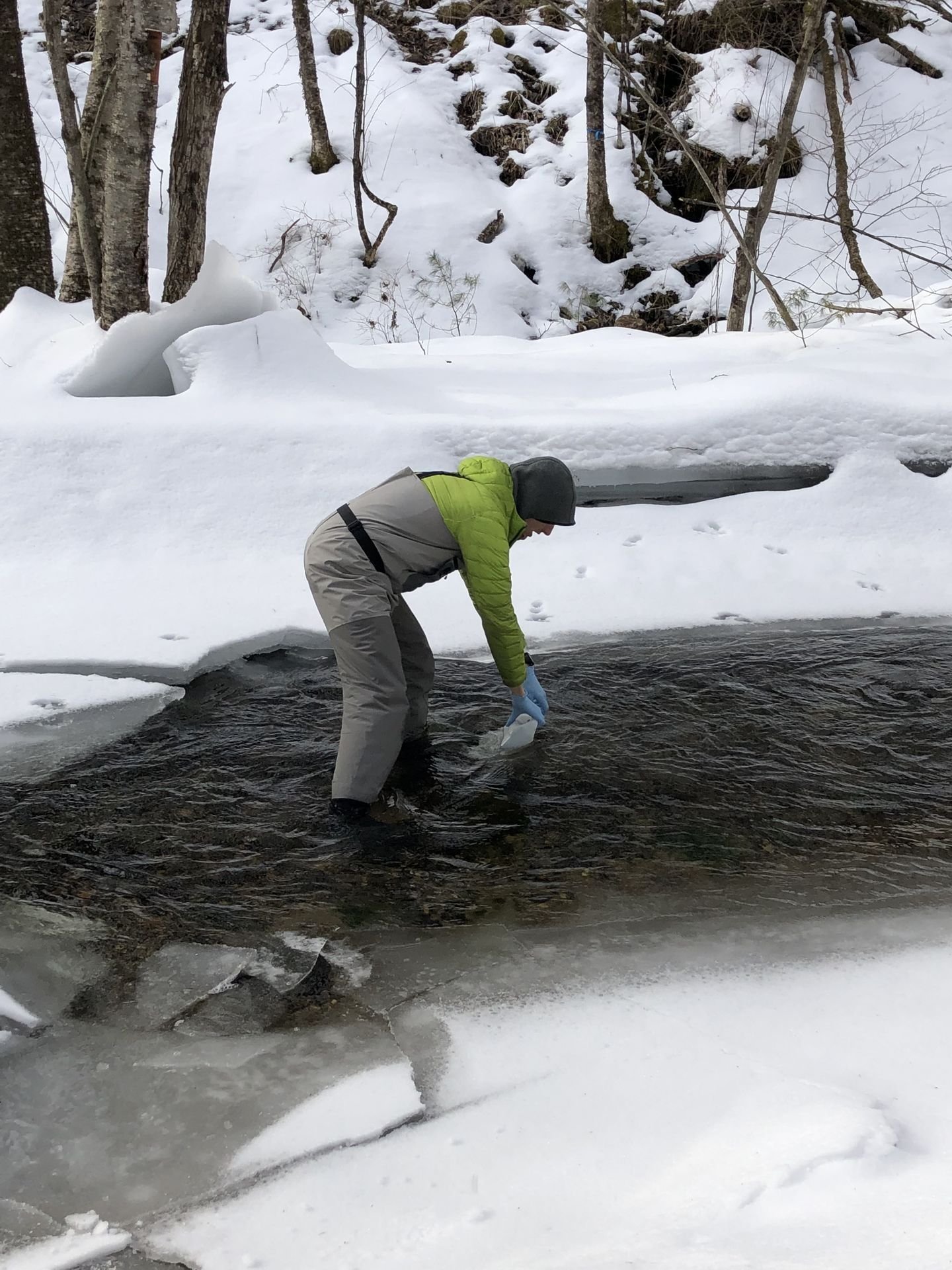 Domain Digest No. 8: A Look Back on Snowy Favorites | NSF NEON | Open ...