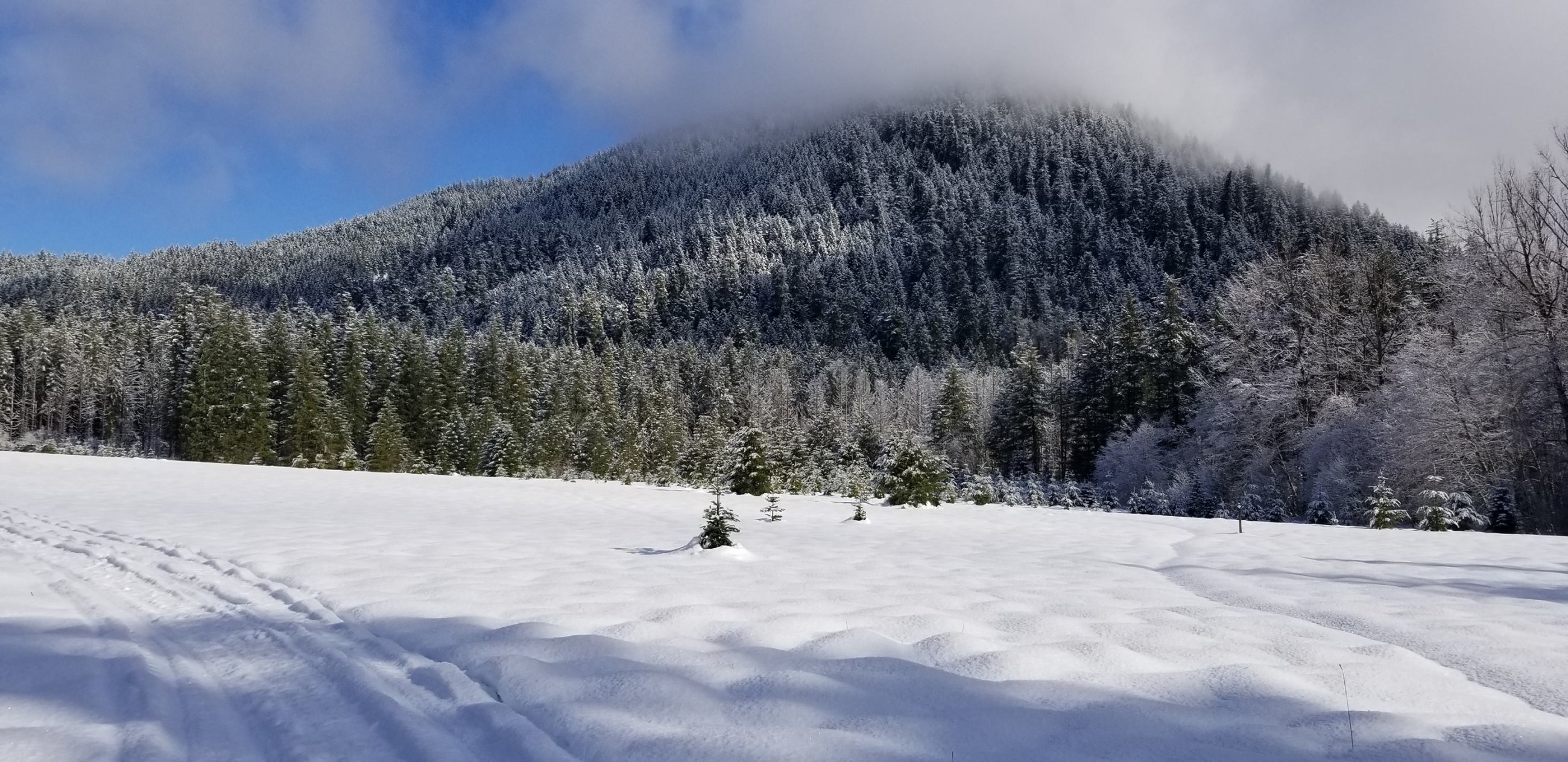 Domain Digest No. 8: A Look Back on Snowy Favorites | NSF NEON | Open ...