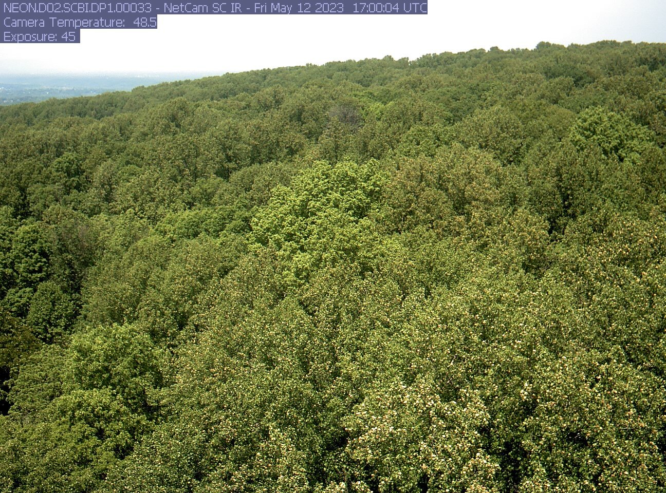 What Makes a Forest? Forested Field Sites Across the Observatory | NSF ...