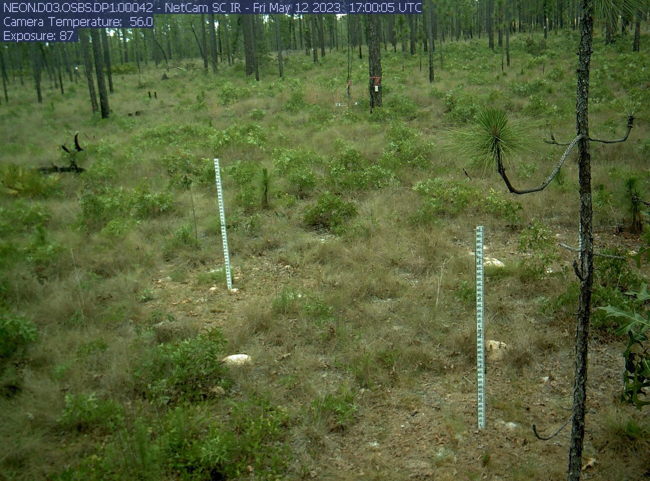 What Makes a Forest? Forested Field Sites Across the Observatory | NSF ...