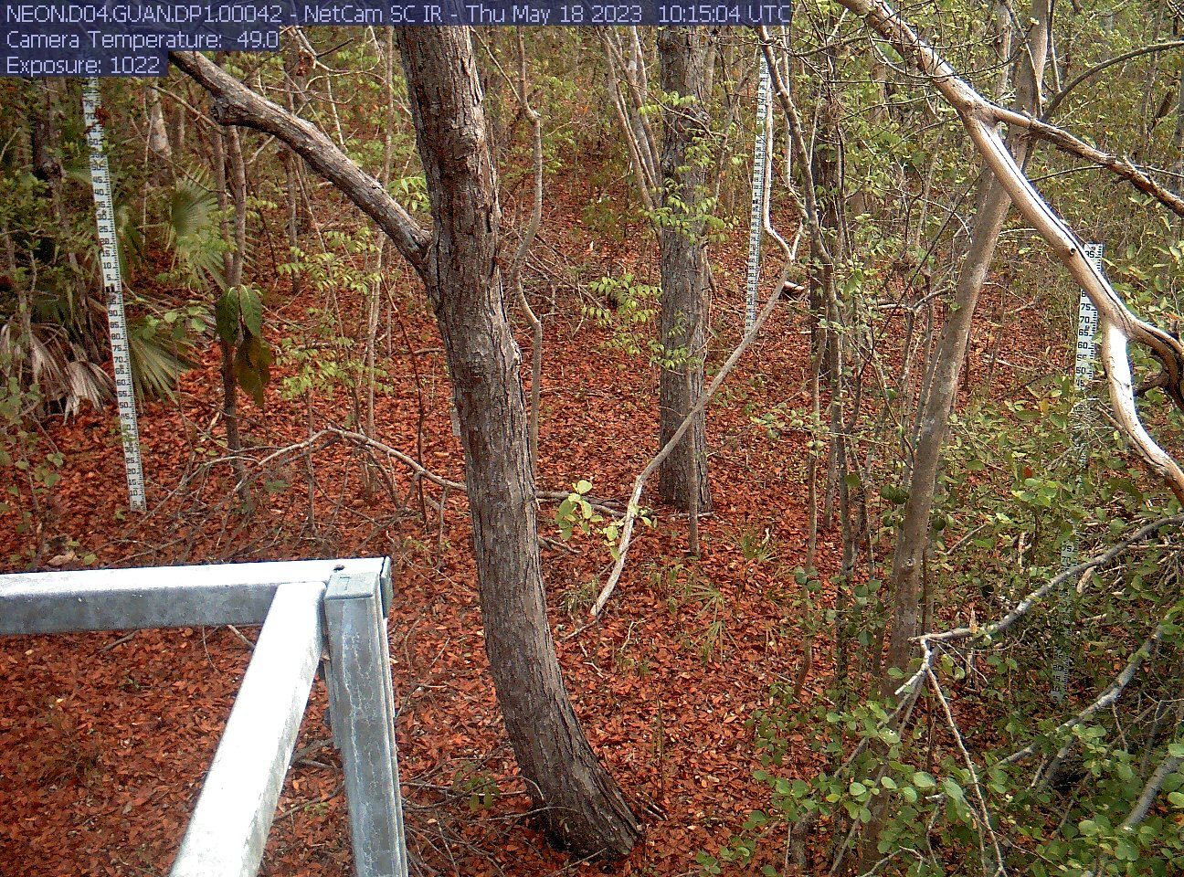 What Makes a Forest? Forested Field Sites Across the Observatory | NSF ...