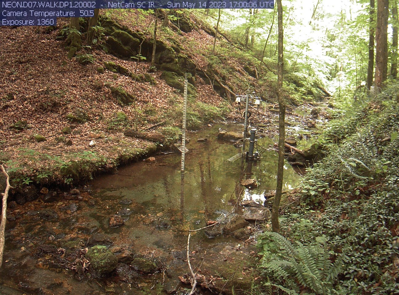 What Makes a Forest? Forested Field Sites Across the Observatory | NSF ...