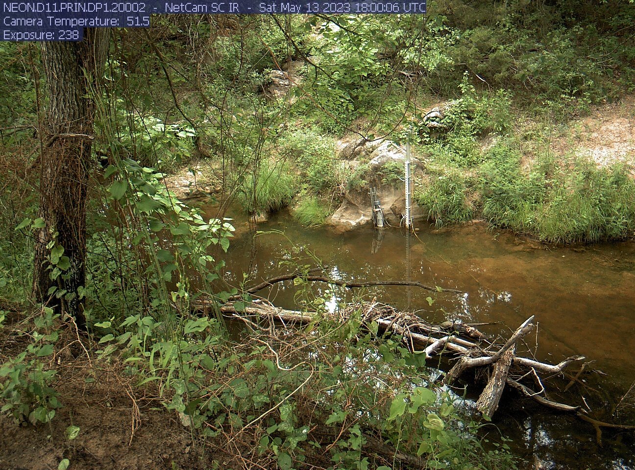 What Makes a Forest? Forested Field Sites Across the Observatory | NSF ...