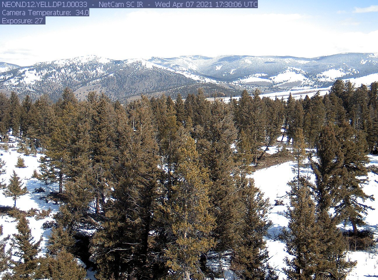 What Makes a Forest? Forested Field Sites Across the Observatory | NSF ...