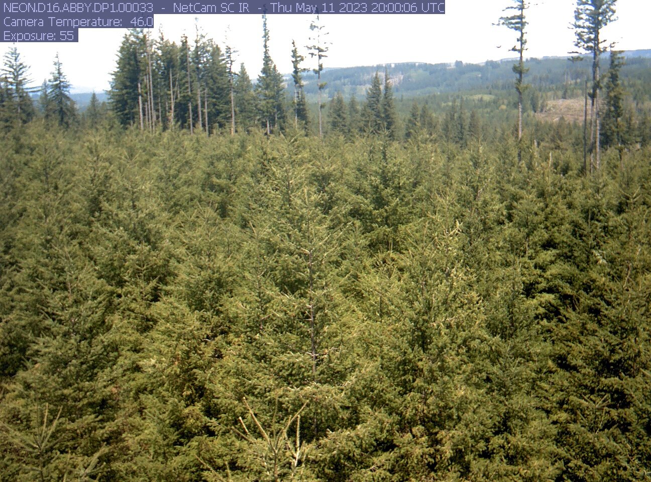 What Makes a Forest? Forested Field Sites Across the Observatory | NSF ...