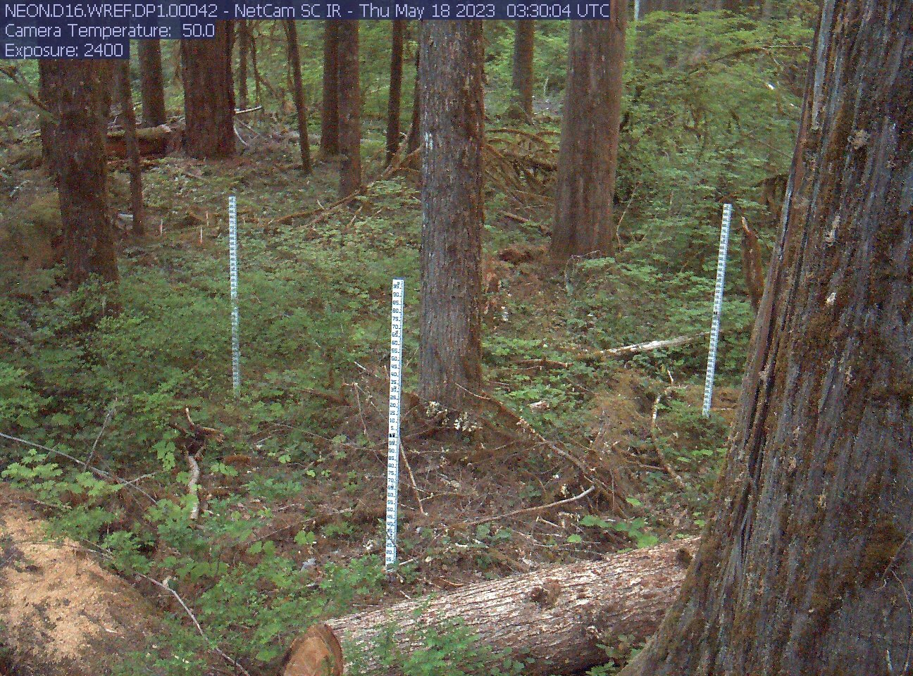 What Makes a Forest? Forested Field Sites Across the Observatory | NSF ...