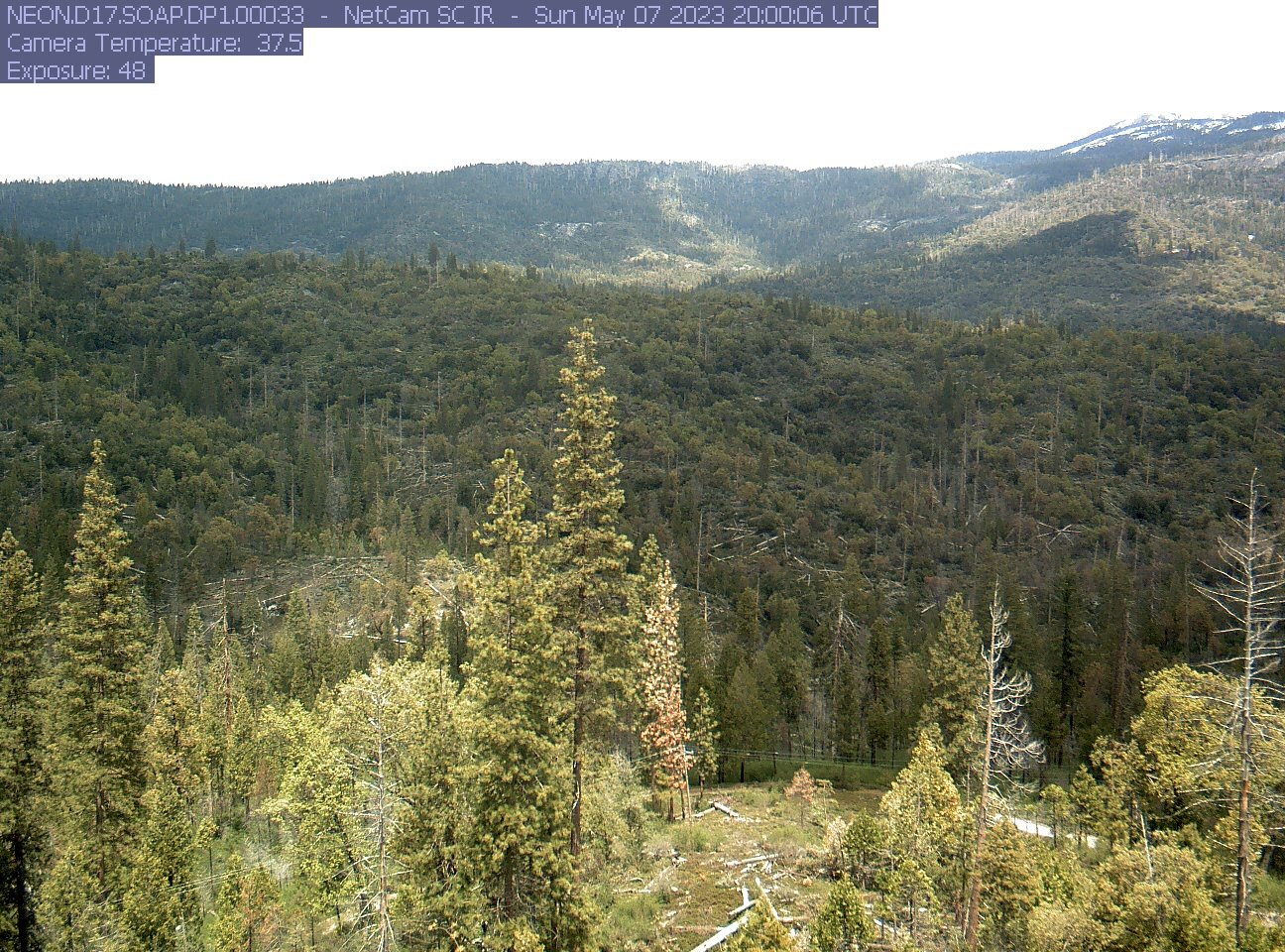 What Makes a Forest? Forested Field Sites Across the Observatory | NSF ...