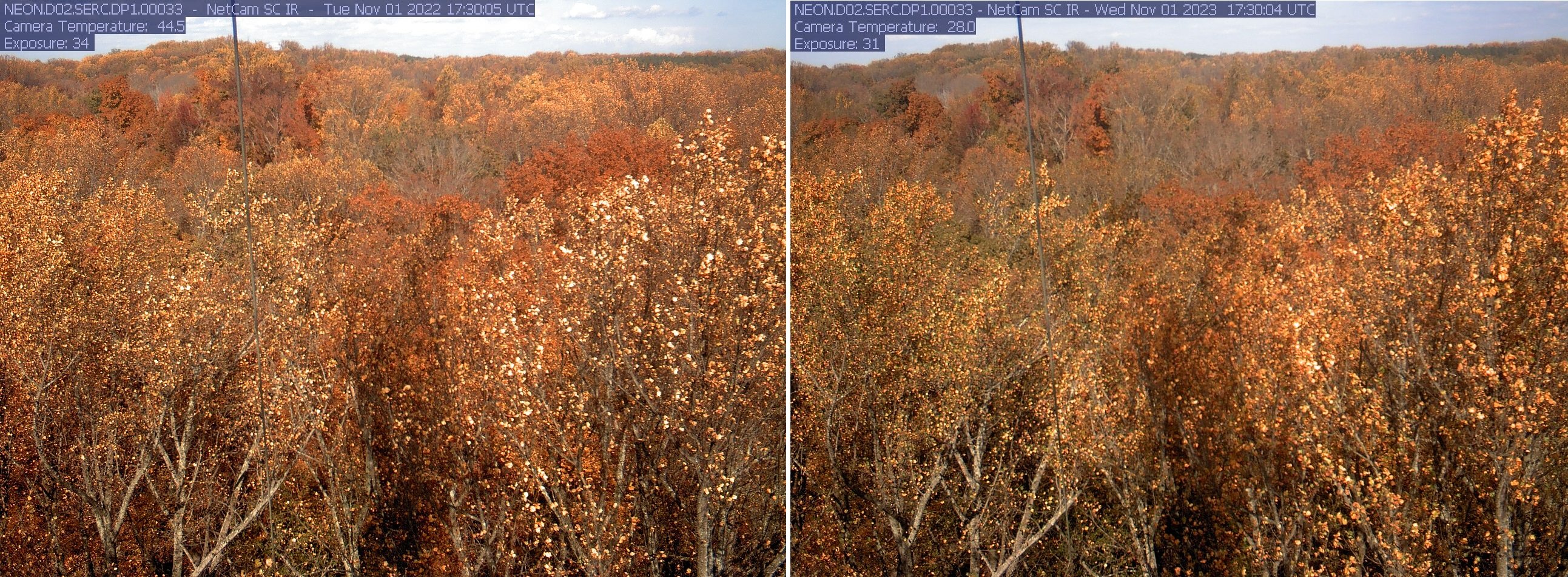 NEON Sites Show Their Colors: Fall Across the Observatory | NSF NEON ...