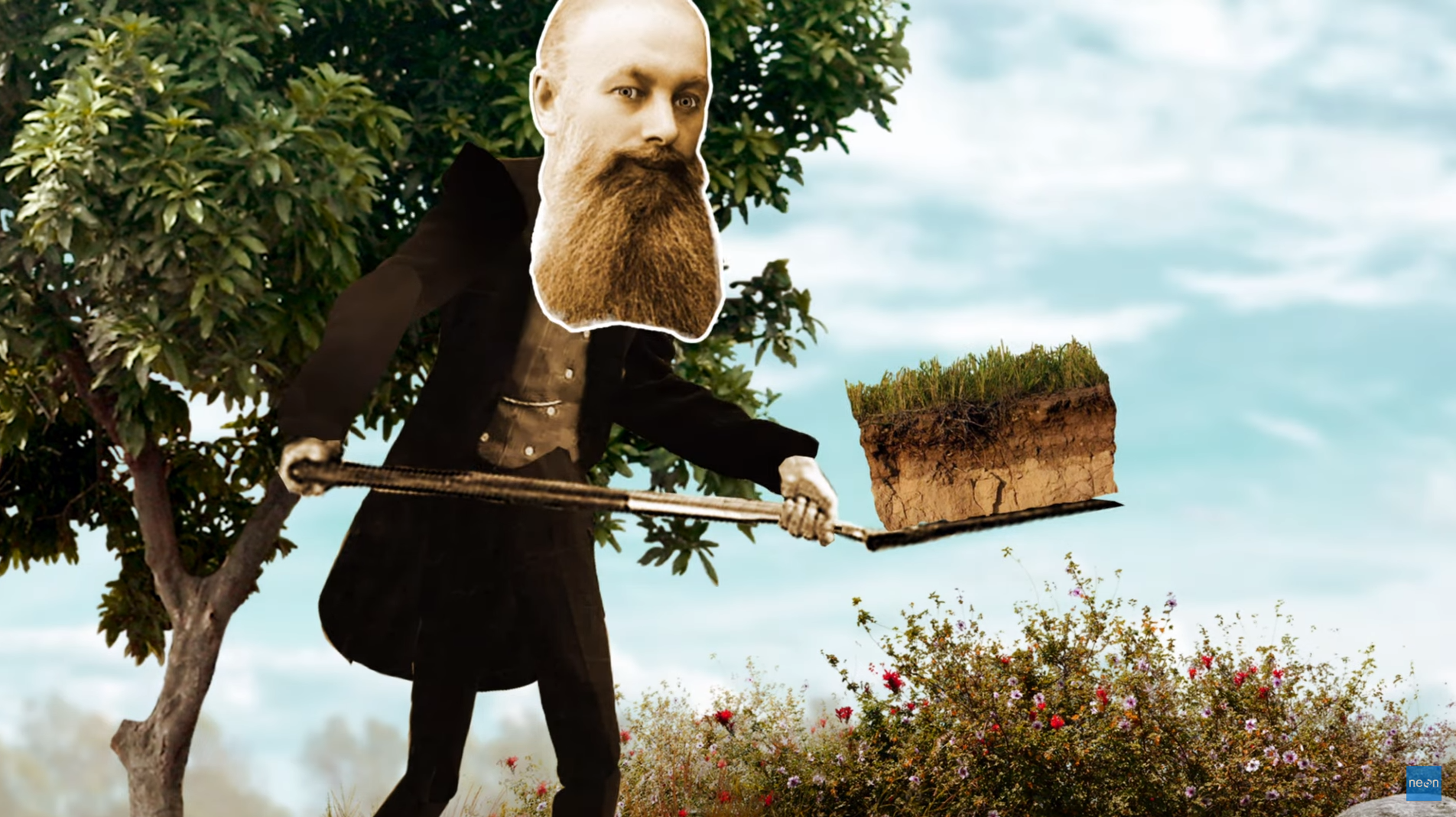 Learning Hub | NSF NEON | Open Data to Understand our Ecosystems