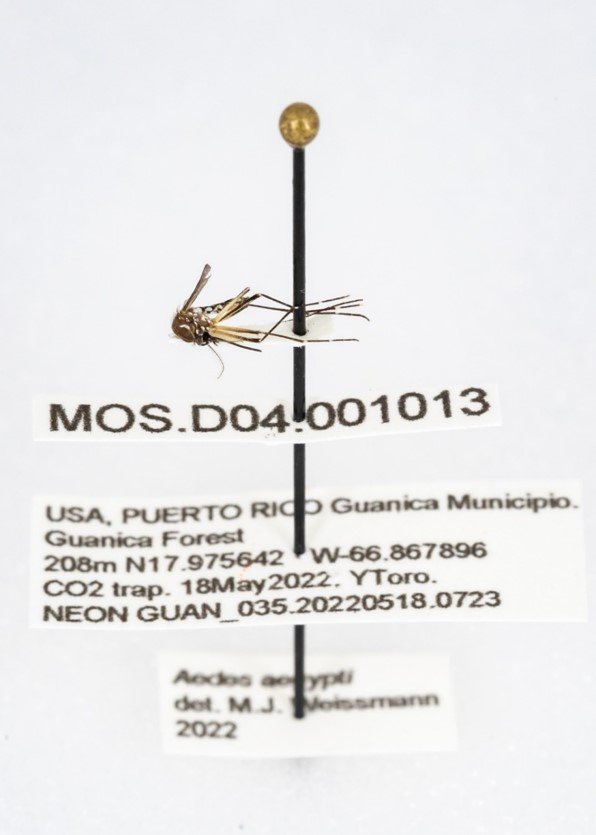 About Samples | NSF NEON | Open Data to Understand our Ecosystems