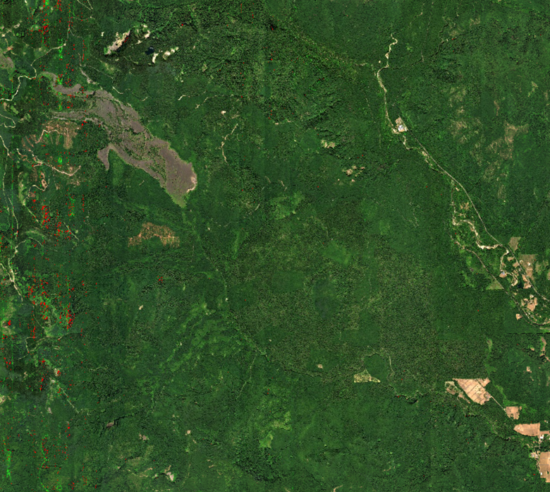 Minor Artifacts in Reflectance Data and Google Earth Engine Data ...