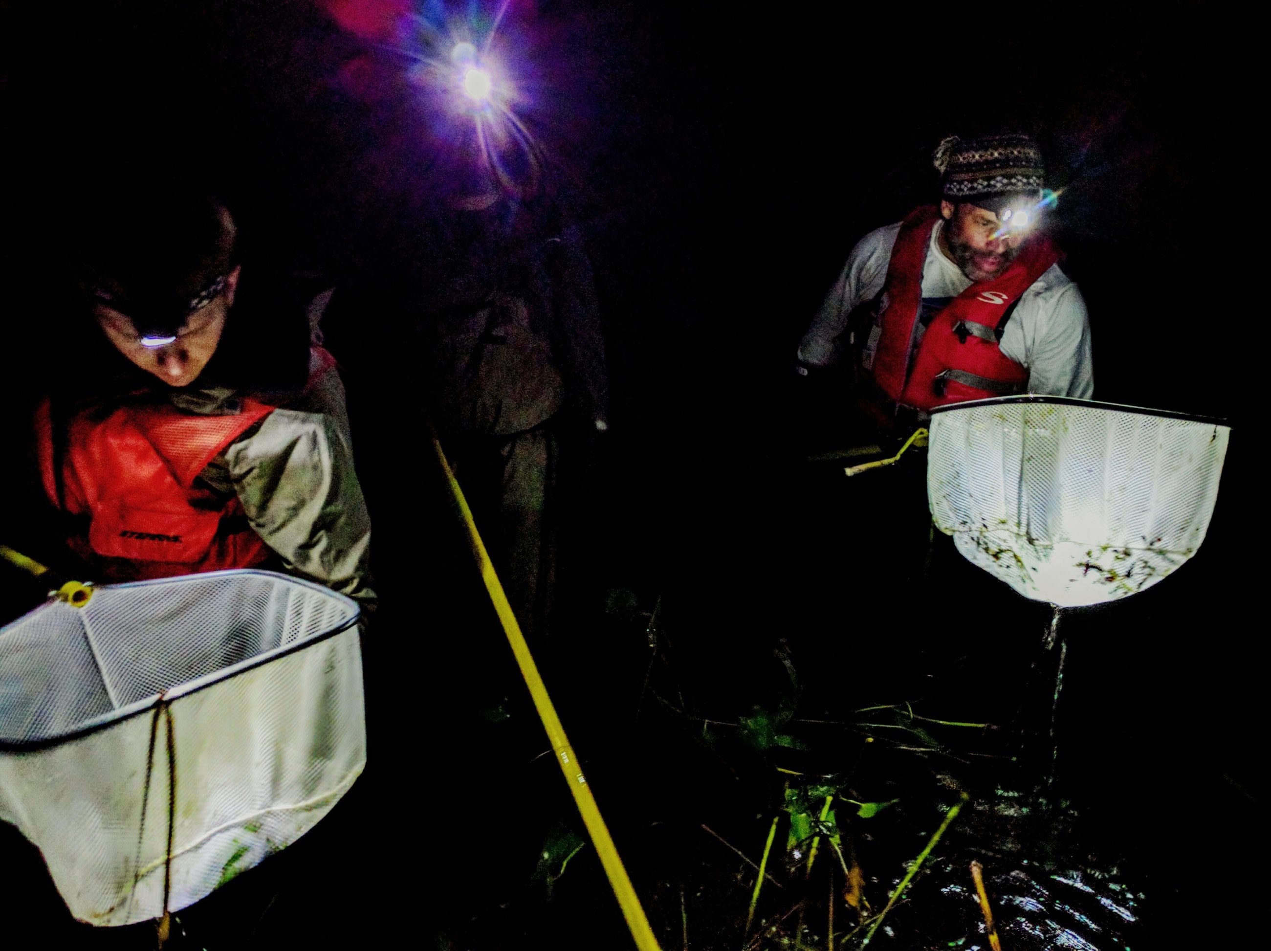 The Catch: NEON Goes Fishing | NSF NEON | Open Data to Understand our ...