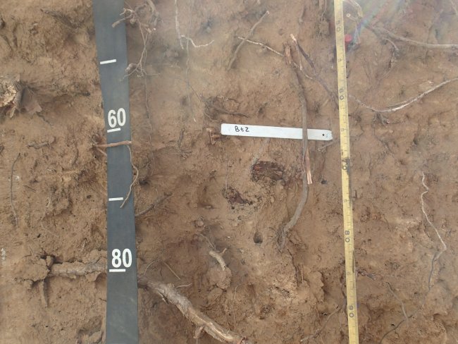 Soaproot Saddle NEON (SOAP) Soil Descriptions | NSF NEON | Open Data to ...