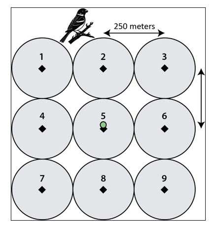Bird point IDs within grids were transposed resulting in inaccurate ...